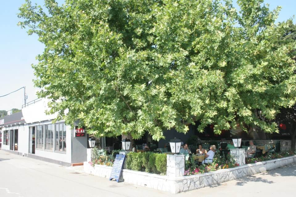 RESTORAN PROMAJA Beograd - Rezervacije: 066/222-152 | Gde Izaći